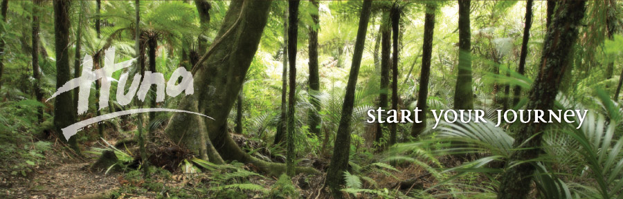 Free MP3 Download | Huna